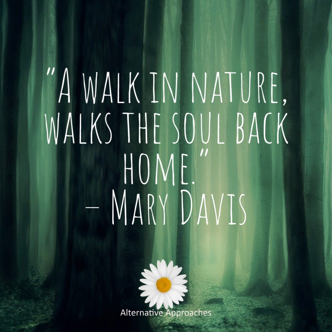 Schools – Alternative Approaches